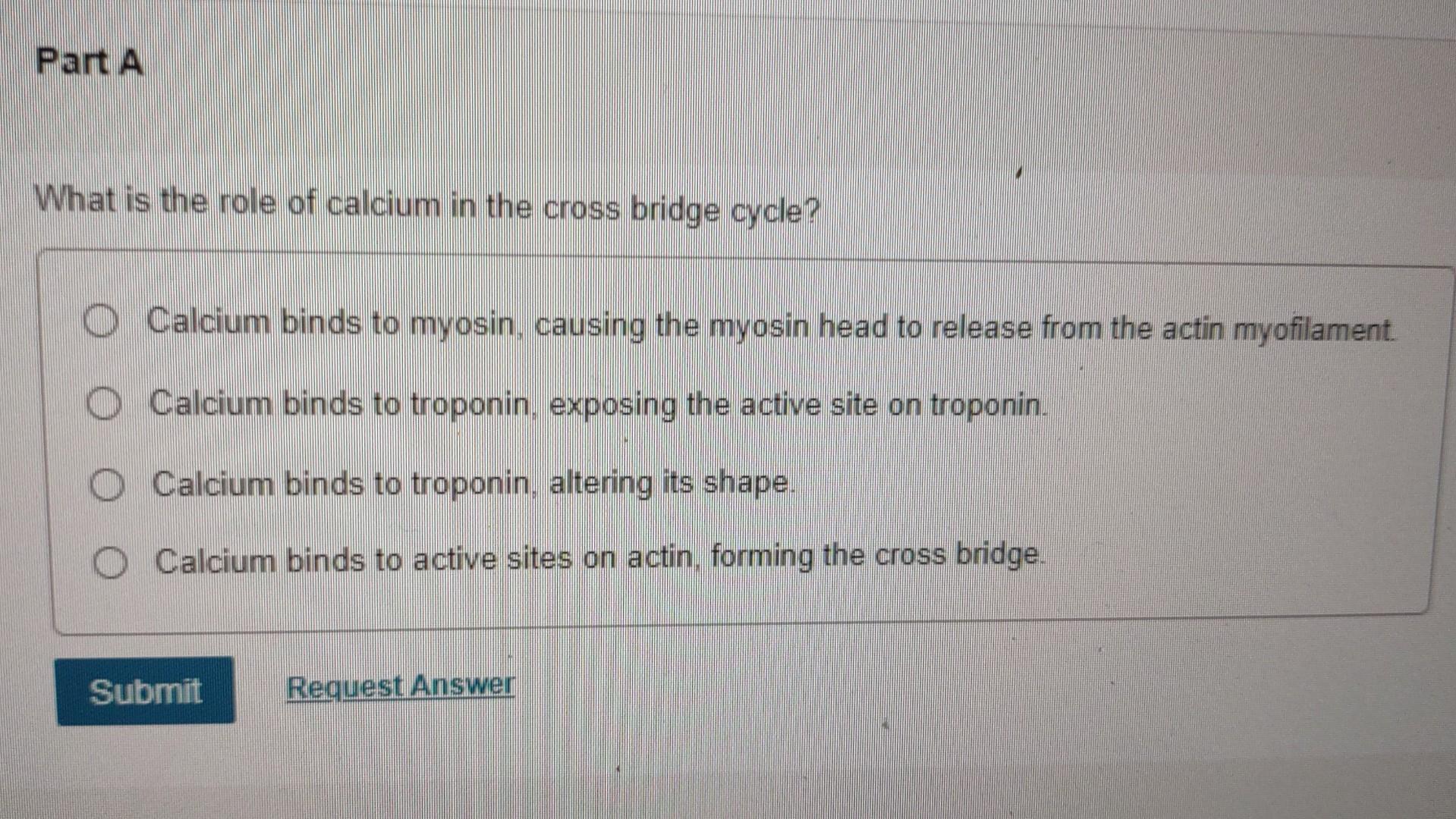 Solved What is the role of calcium in the cross bridge | Chegg.com