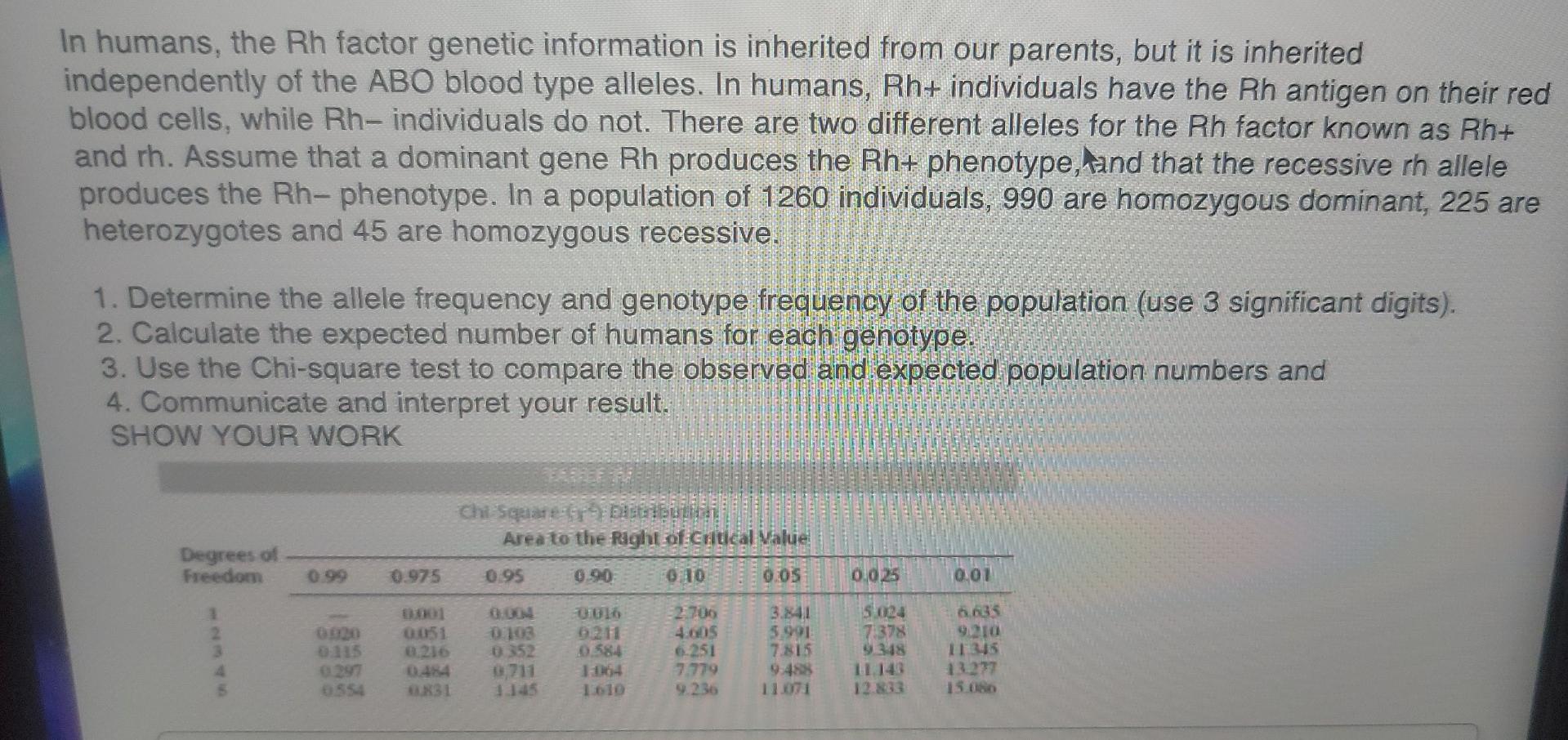 Solved In humans, the Rh factor genetic information is | Chegg.com