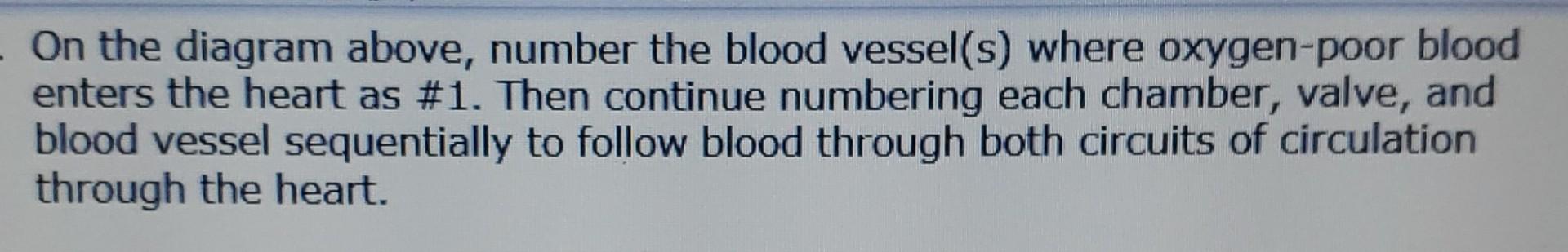 Solved On the diagram above, number the blood vessel(s) | Chegg.com