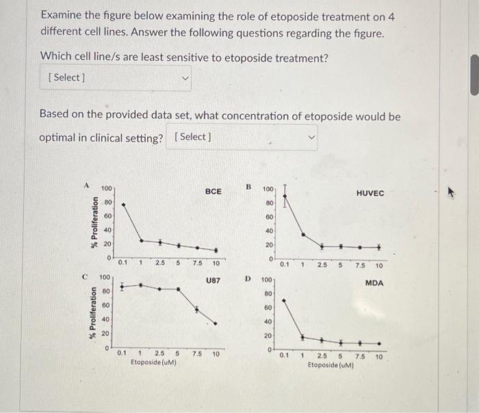Solved Examine the figure below examining the role of | Chegg.com