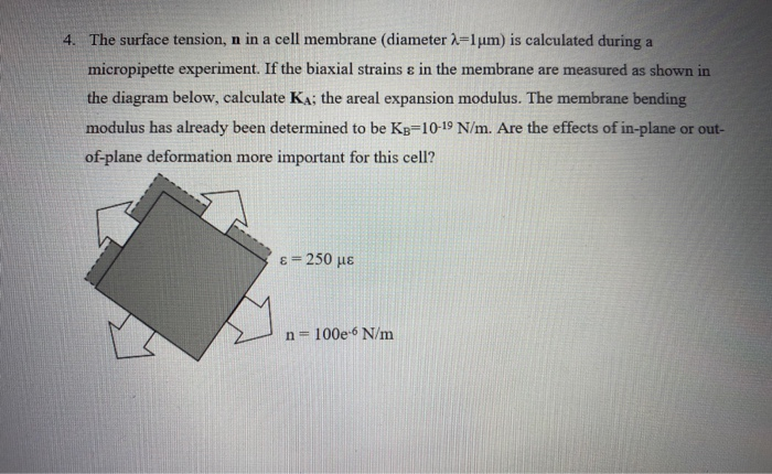 Solved 4. The surface tension, n in a cell membrane | Chegg.com