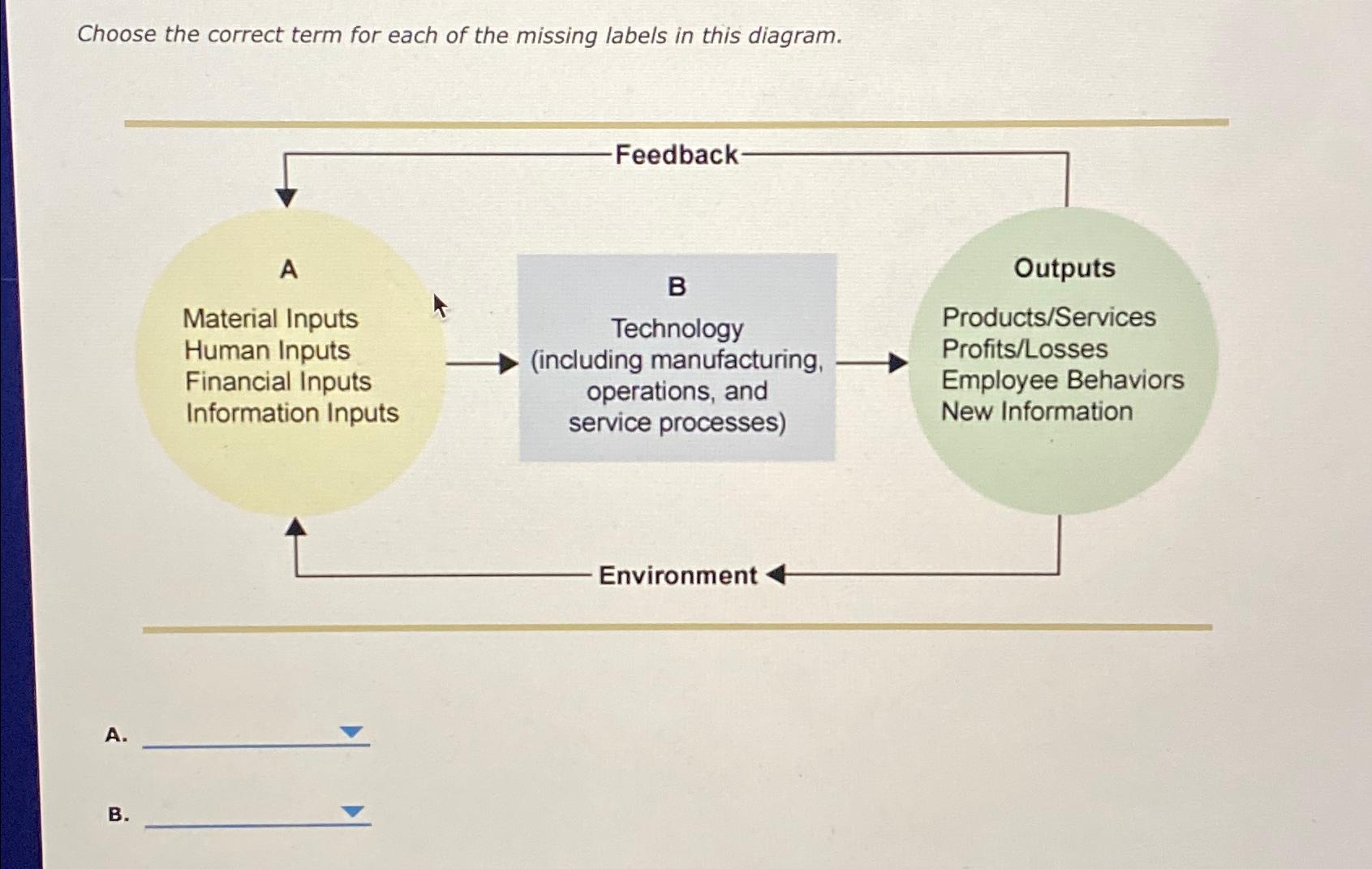 Solved Choose the correct term for each of the missing | Chegg.com