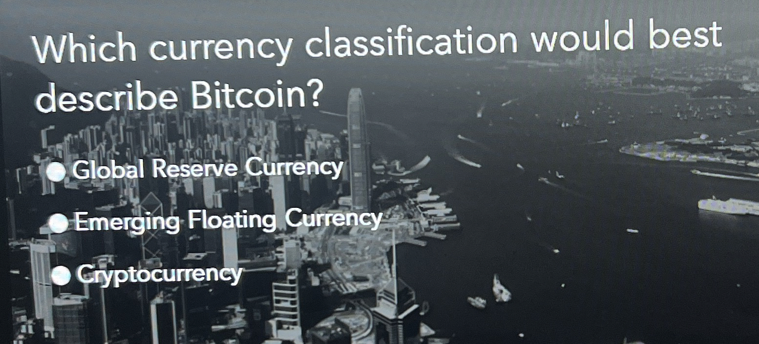 Solved Which currency classification would best describe | Chegg.com
