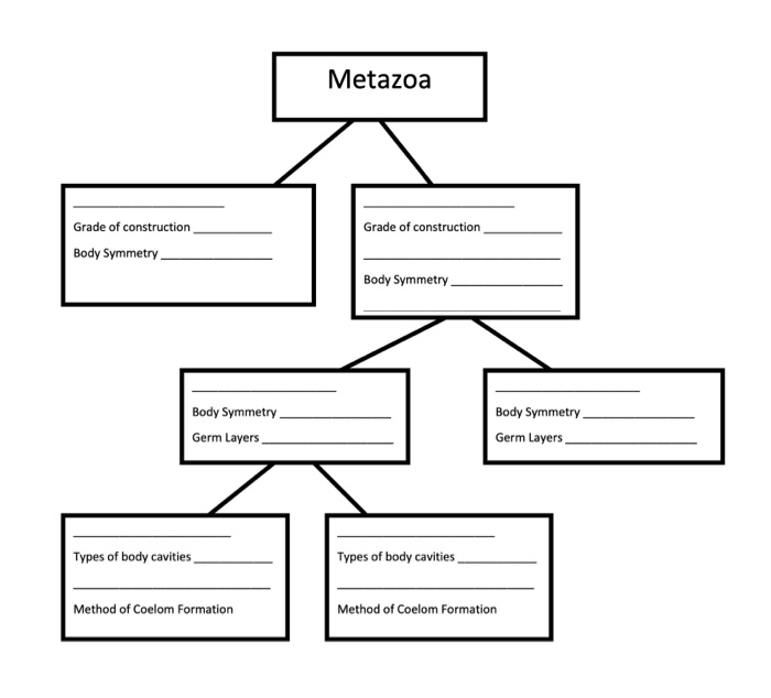 Solved Complete a concept map (see next page) illustrating | Chegg.com