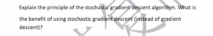 Solved Explain The Principle Of The Stochastic Gradient