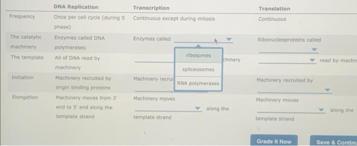 Solved 6. Comparing transcription and translation The | Chegg.com