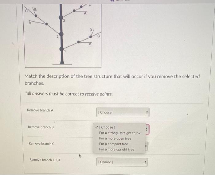 Solved Match the description of the tree structure that will | Chegg.com