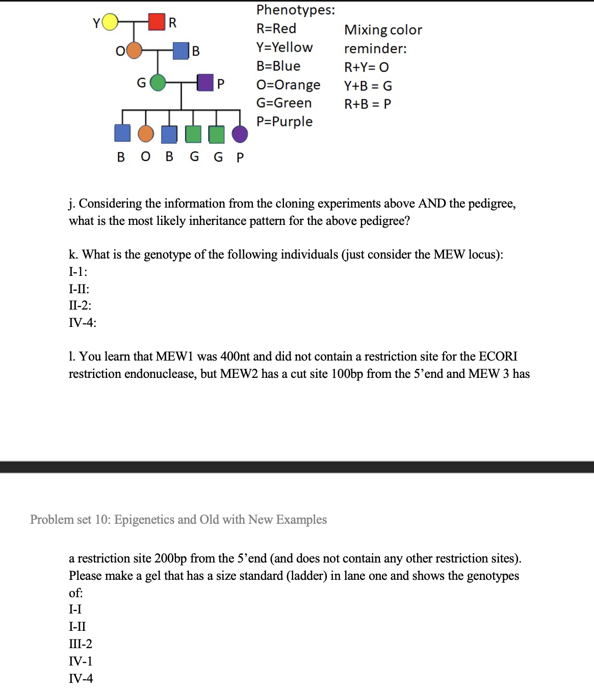 Solved j. ﻿Considering the information from the cloning | Chegg.com
