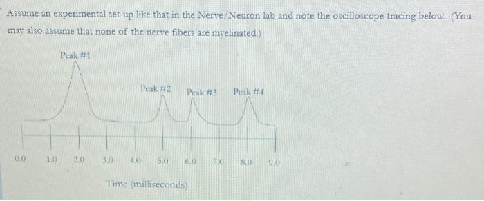 Solved Assume an experimental set-up like that in the | Chegg.com