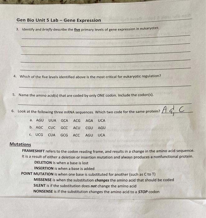 Solved Gen Bio Unit 5 Lab - Gene Expression 3. Identify and | Chegg.com