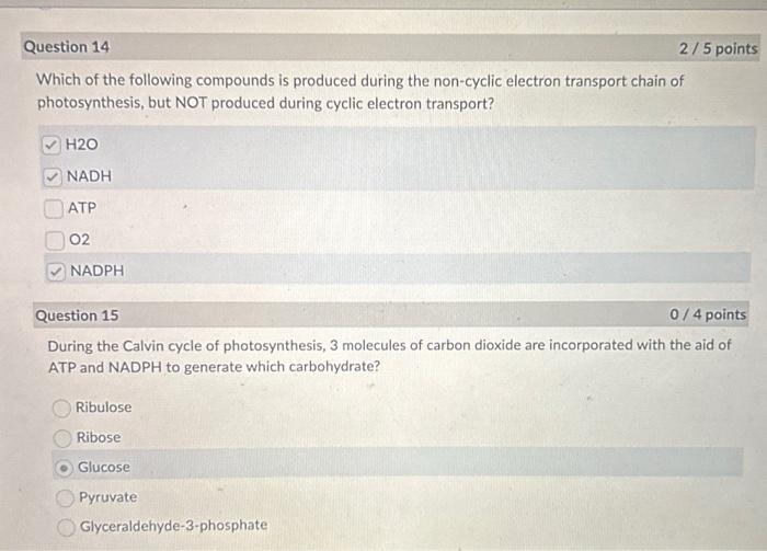 Solved Which of the following compounds is produced during | Chegg.com