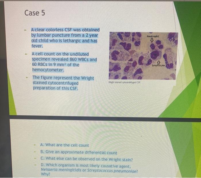 Solved A clear colorless CSF was obtained by lumbar puncture | Chegg.com