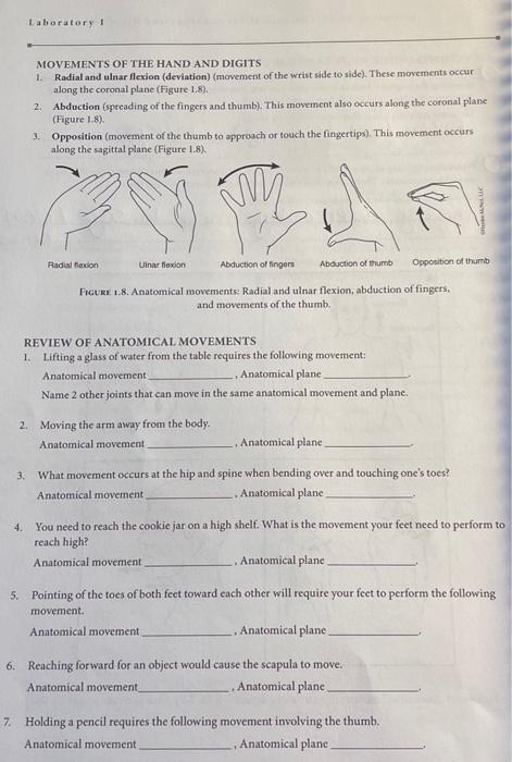 Solved Laboratory ! MOVEMENTS OF THE HAND AND DIGITS 1. | Chegg.com