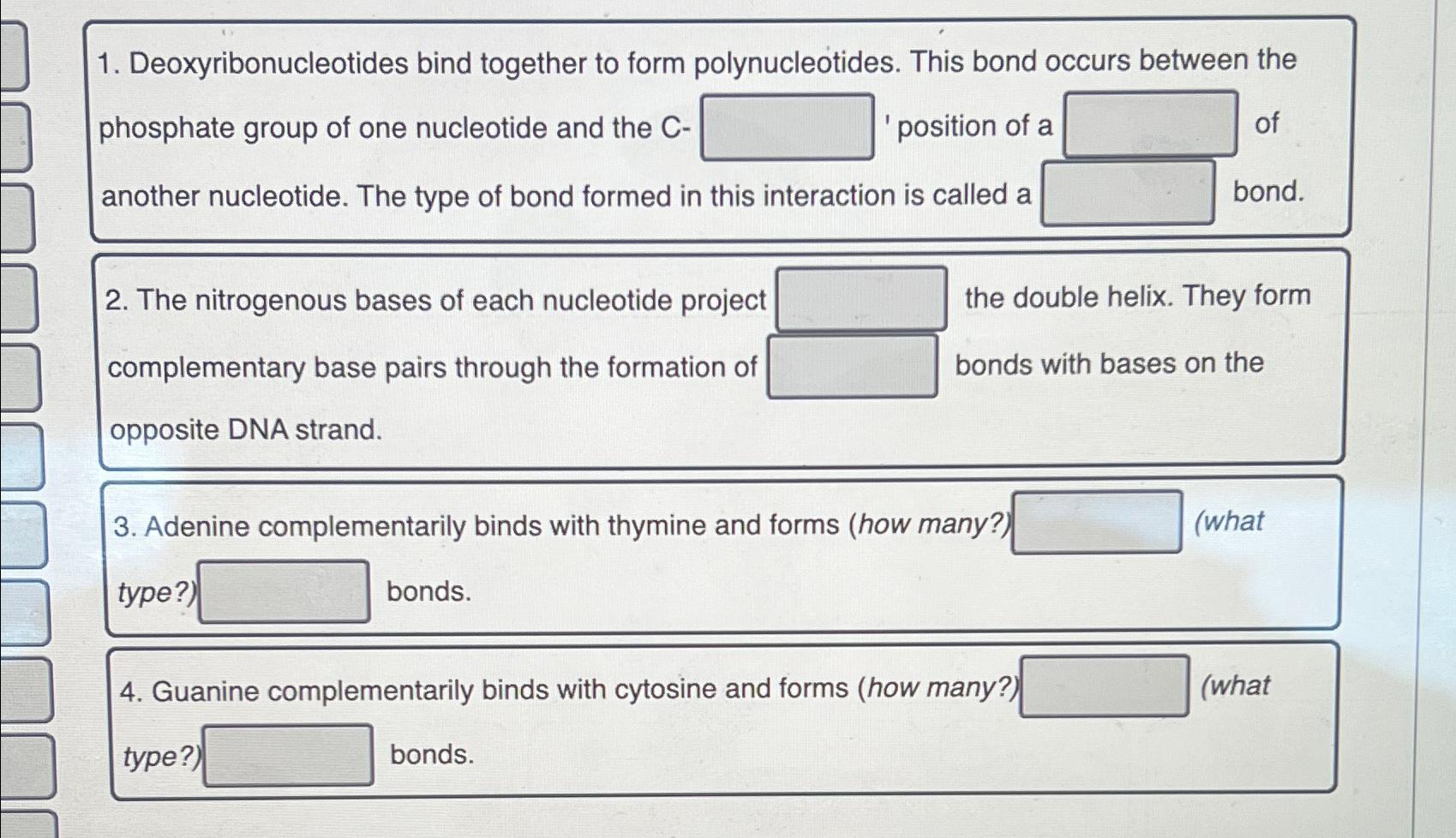 Solved Deoxyribonucleotides bind together to form | Chegg.com
