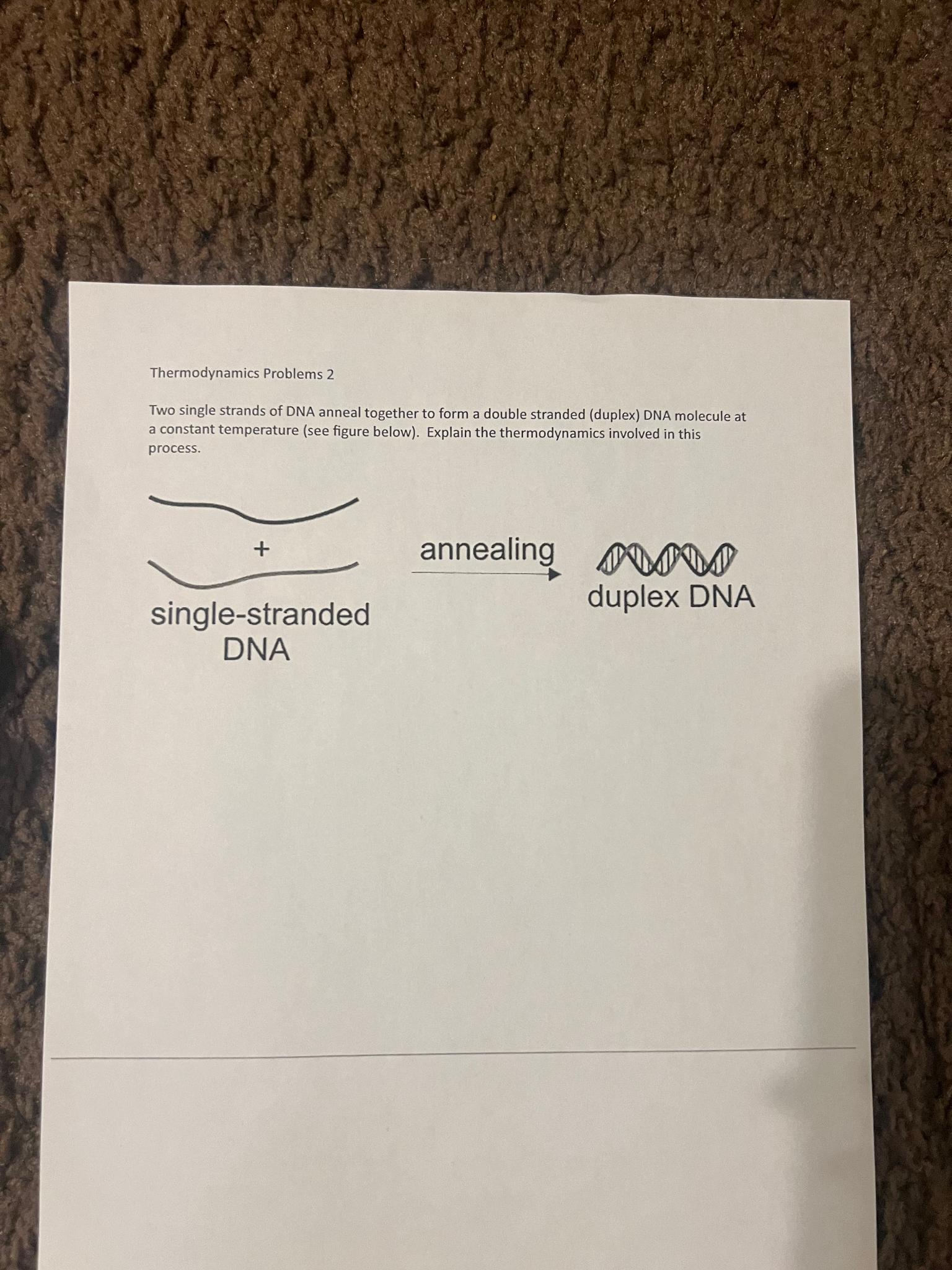 Solved Thermodynamics Problems 2Two single strands of DNA | Chegg.com