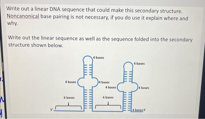 Solved Write out a linear DNA sequence that could make this | Chegg.com