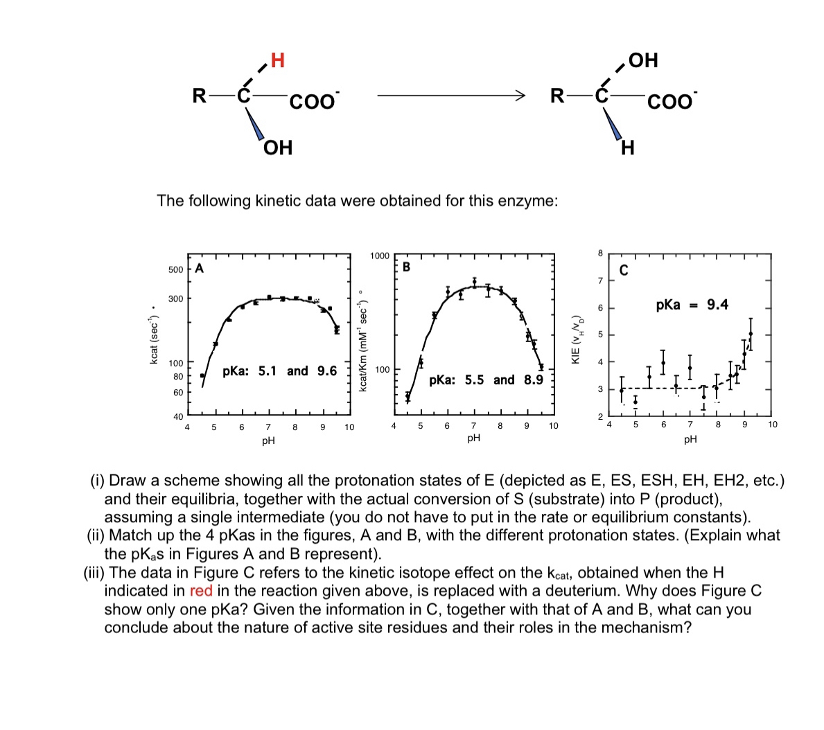 Solved An enzyme, E, ﻿catalyzes the following racemization | Chegg.com