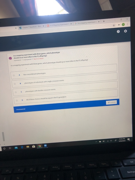 Solved mapping experiment with three gees, which phenotype | Chegg.com