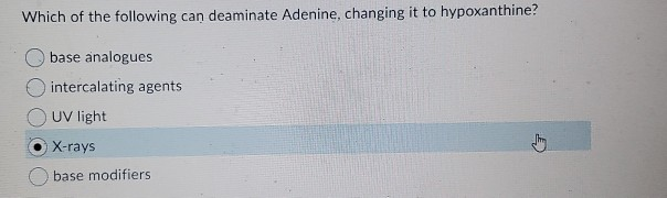 Solved Which of the following can deaminate Adenine, | Chegg.com