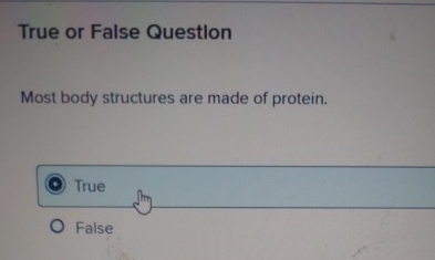 Solved True or False QuestlonMost body structures are made | Chegg.com