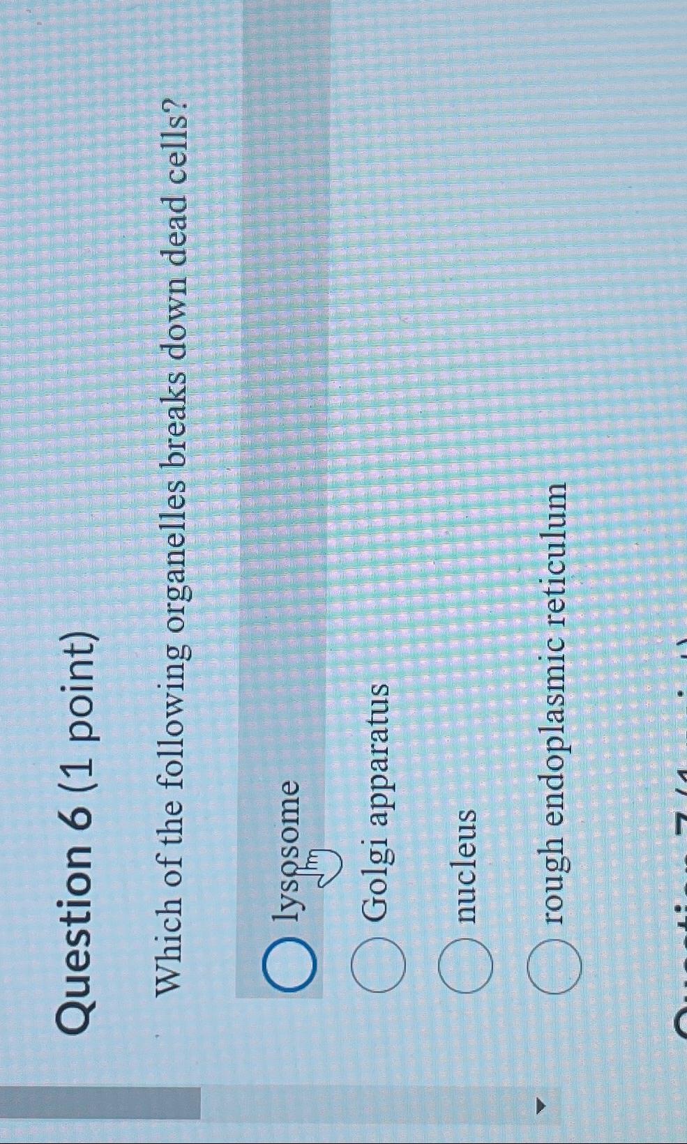 Solved Question 6 (1 ﻿point)Which of the following | Chegg.com