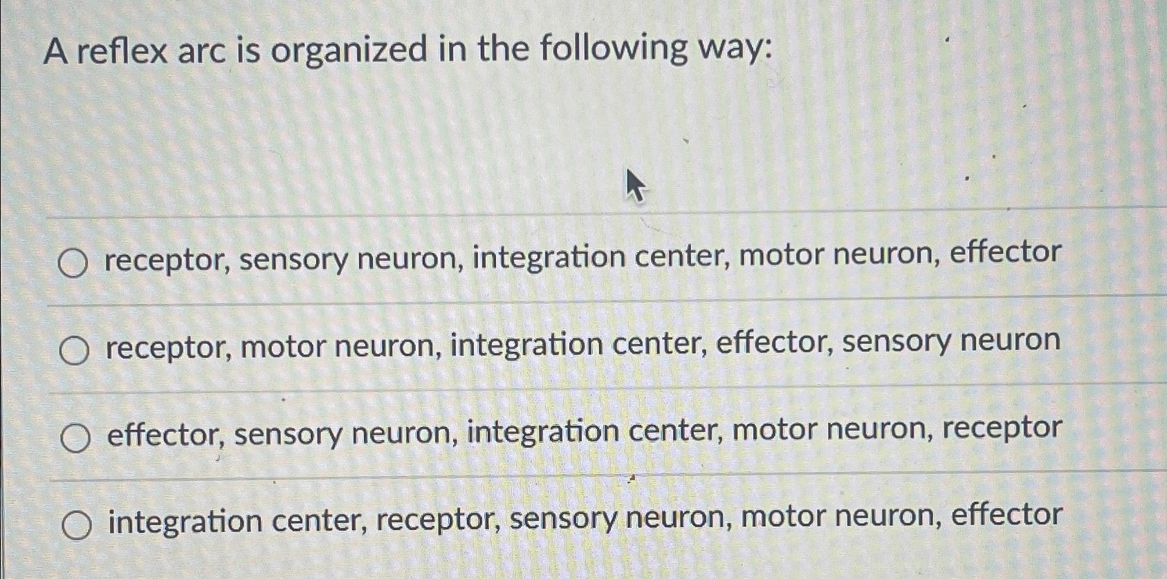 Solved A reflex arc is organized in the following | Chegg.com