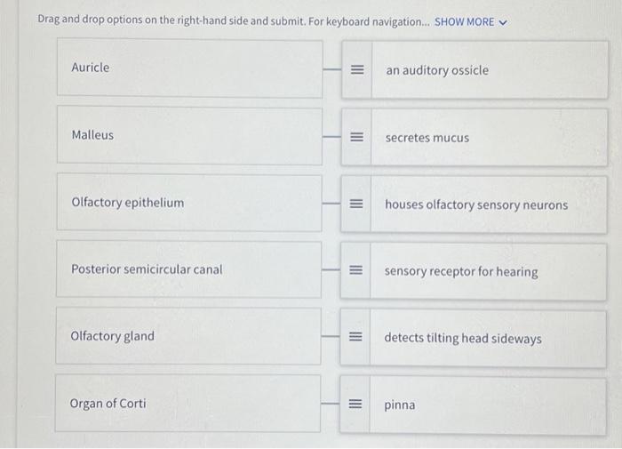 Solved Drag and drop options on the right-hand side and | Chegg.com