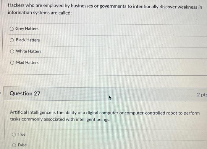 Solved Hackers who are employed by businesses or governments | Chegg.com