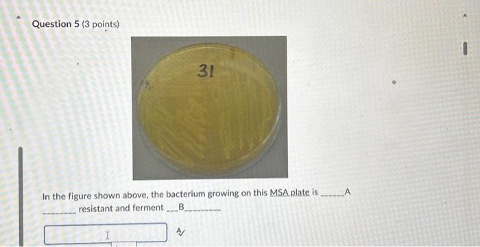 Solved Question 5 (3 points) In the figure shown above, the | Chegg.com