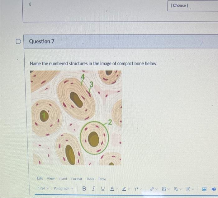 Solved 8 D Question 7 Name the numbered structures in the | Chegg.com