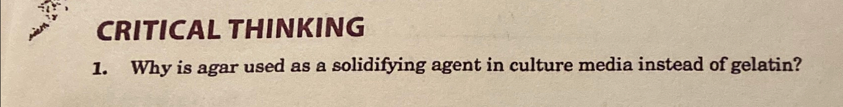 Solved CRITICAL THINKINGWhy is agar used as a solidifying | Chegg.com