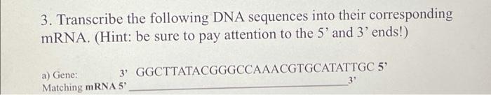 Solved 3. Transcribe the following DNA sequences into their | Chegg.com
