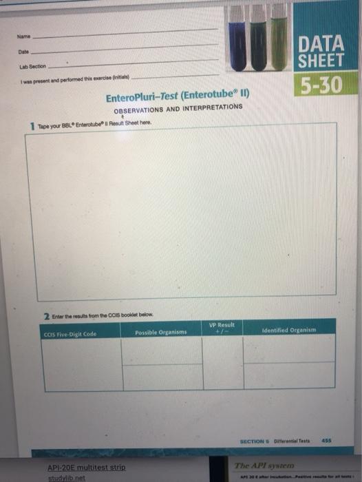 Name Date Lab Section DATA SHEET 5-30 I was present | Chegg.com