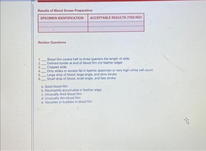 Solved Results of Blood Smear Preparation Review Questions | Chegg.com