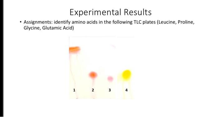 Solved Experimental Results • Assignments: identify amino | Chegg.com
