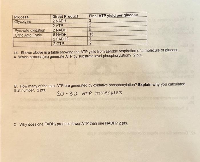 Solved answer parts A, B, and C from looking at the chart. | Chegg.com