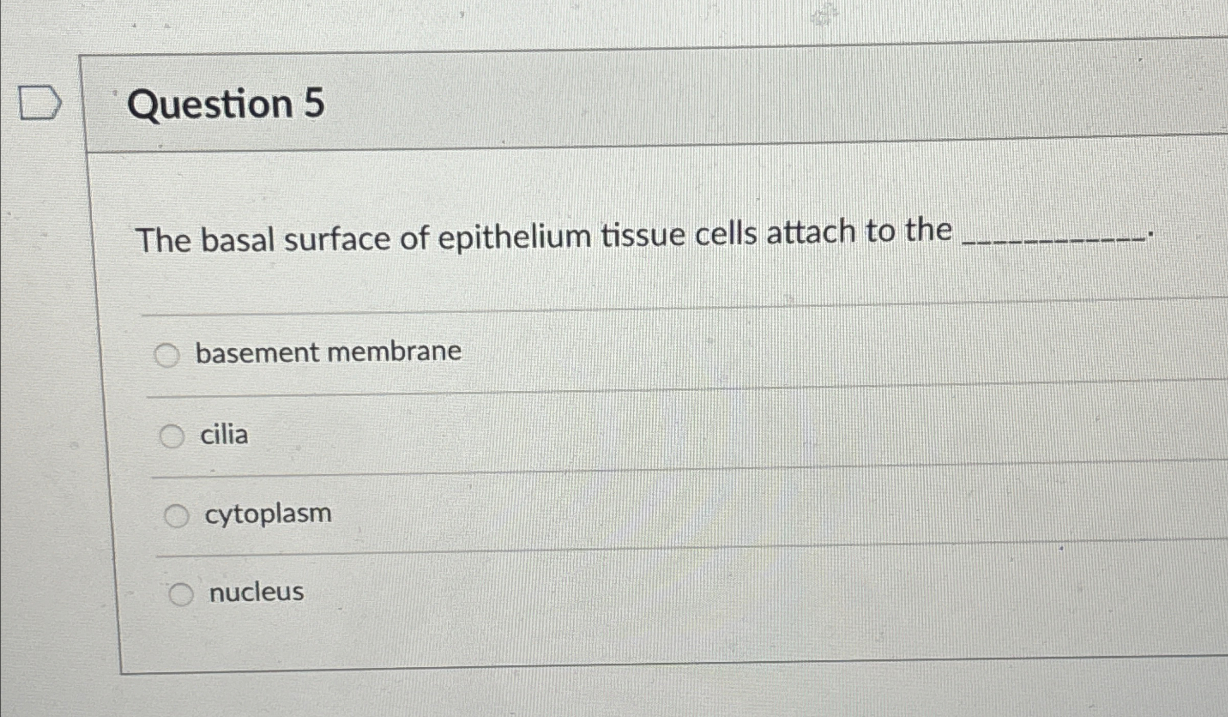 Solved Question 5The basal surface of epithelium tissue | Chegg.com