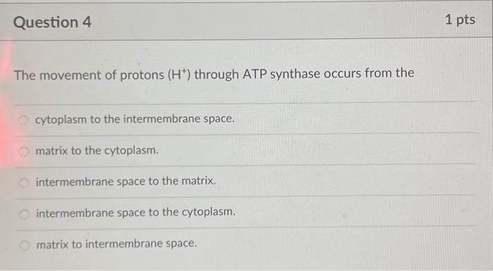 Solved The movement of protons (H+)through ATP synthase | Chegg.com