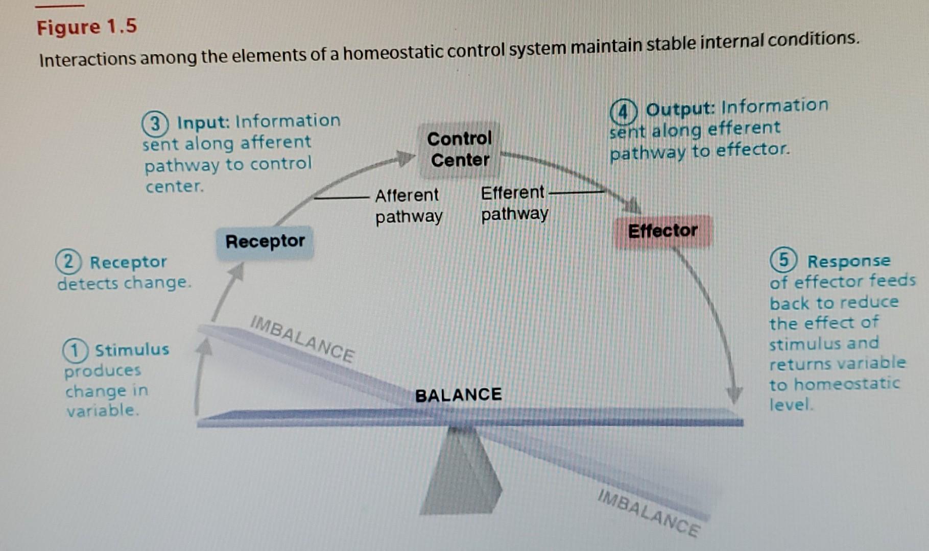 Solved Figure 1.1 gives one nice example of the | Chegg.com
