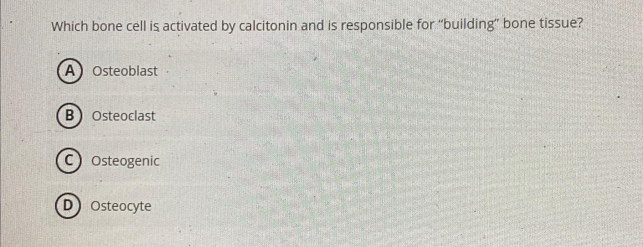Solved Which bone cell is activated by calcitonin and is | Chegg.com