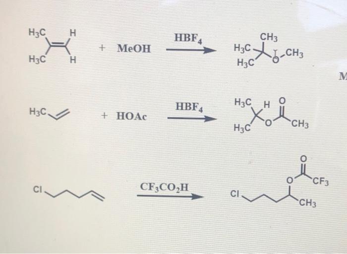 Solved H5C Н HBF4 СН3 + MeOH Нясь сHз Нас H H5C M HBF4 Hс н | Chegg.com
