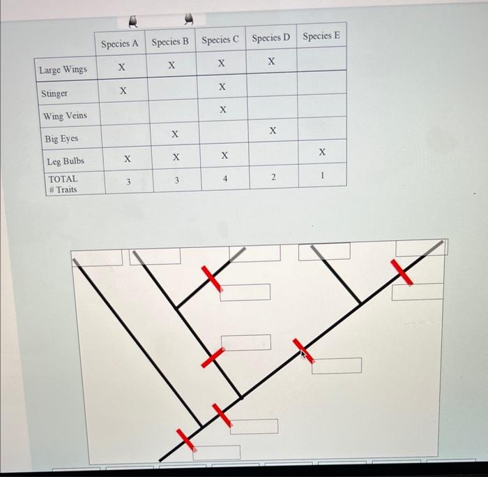 \begin{tabular}{|l|c|c|c|c|c|} \multicolumn{1}{c|}{} | Chegg.com