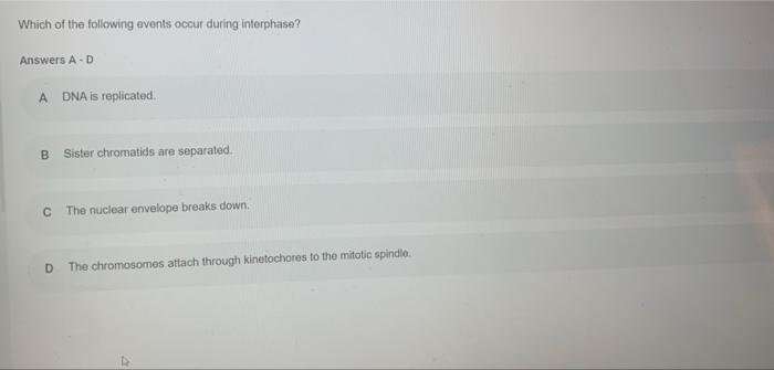 Solved Which of the following events occur during | Chegg.com