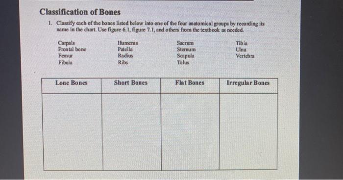 Solved Classification of Bones 1. Classify each of the bones | Chegg.com