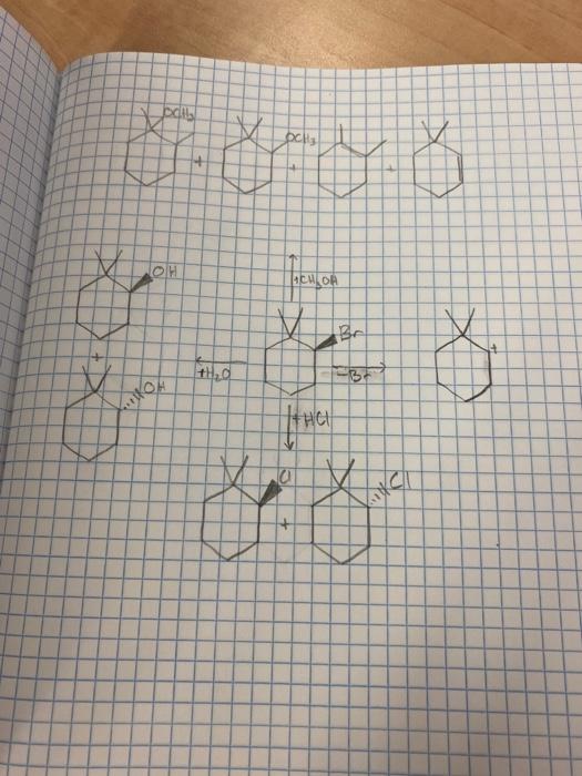 Solved URGENT!!! Which are substitution and which are | Chegg.com