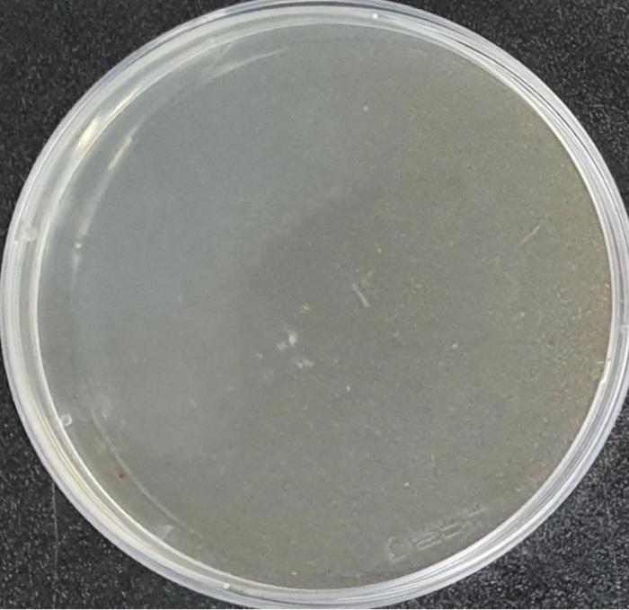 Solved Bacteriophage plaque isolation experiment results. A | Chegg.com