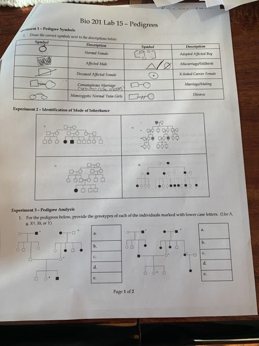 Solved Bio 201 Lab 15 - Pedigrees iment 1 - Pedigree Symbols | Chegg.com