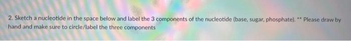 Solved Upload your hand drawn sketch of a nucleotide from | Chegg.com