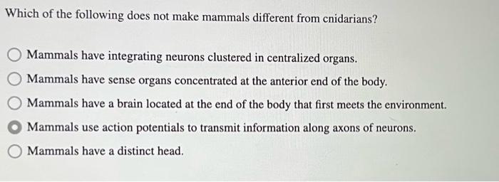 Solved Which of the following does not make mammals | Chegg.com