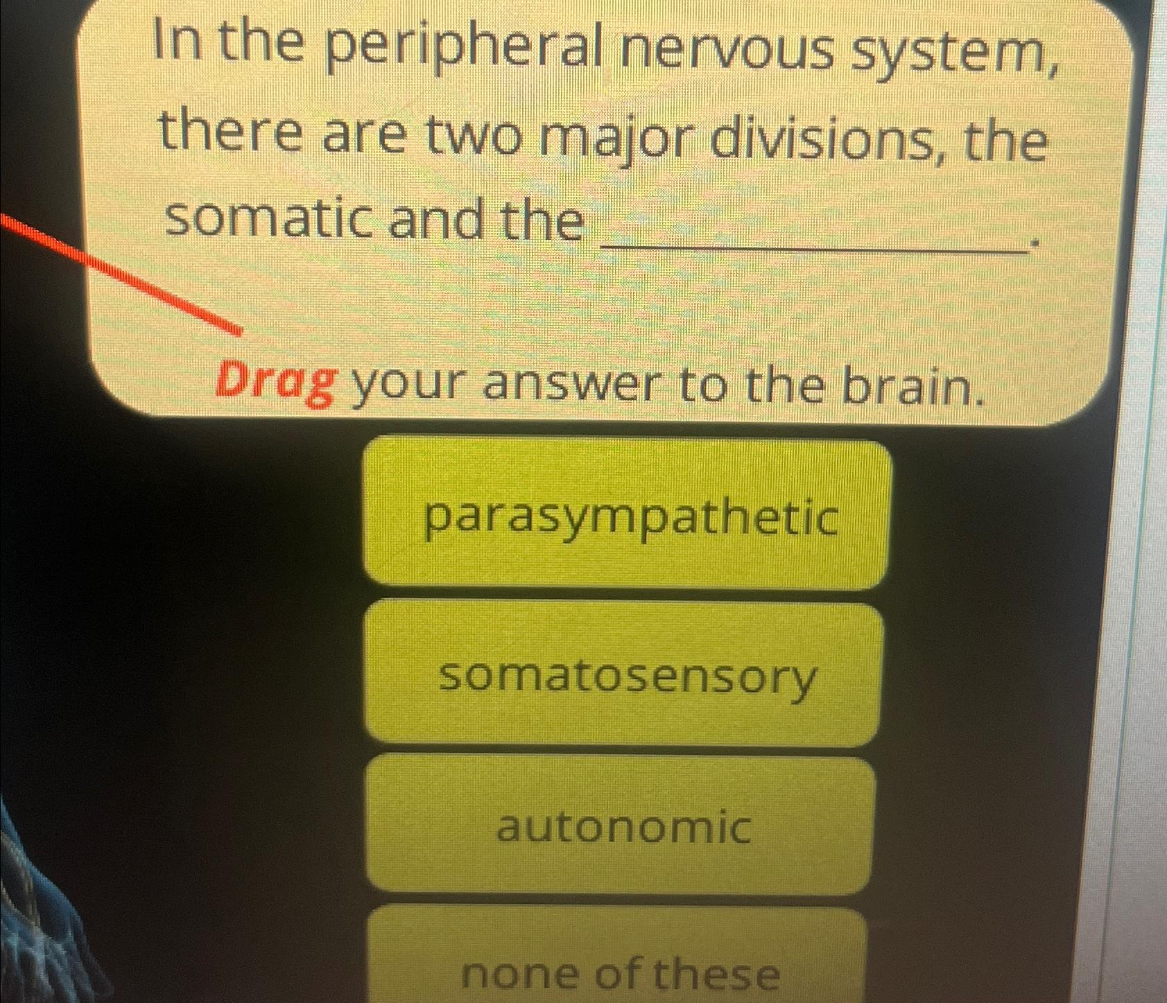 Solved In the peripheral nervous system, there are two major | Chegg.com
